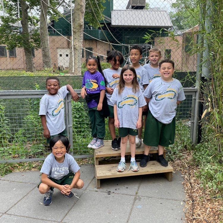 Live Feed | Saint Peter School